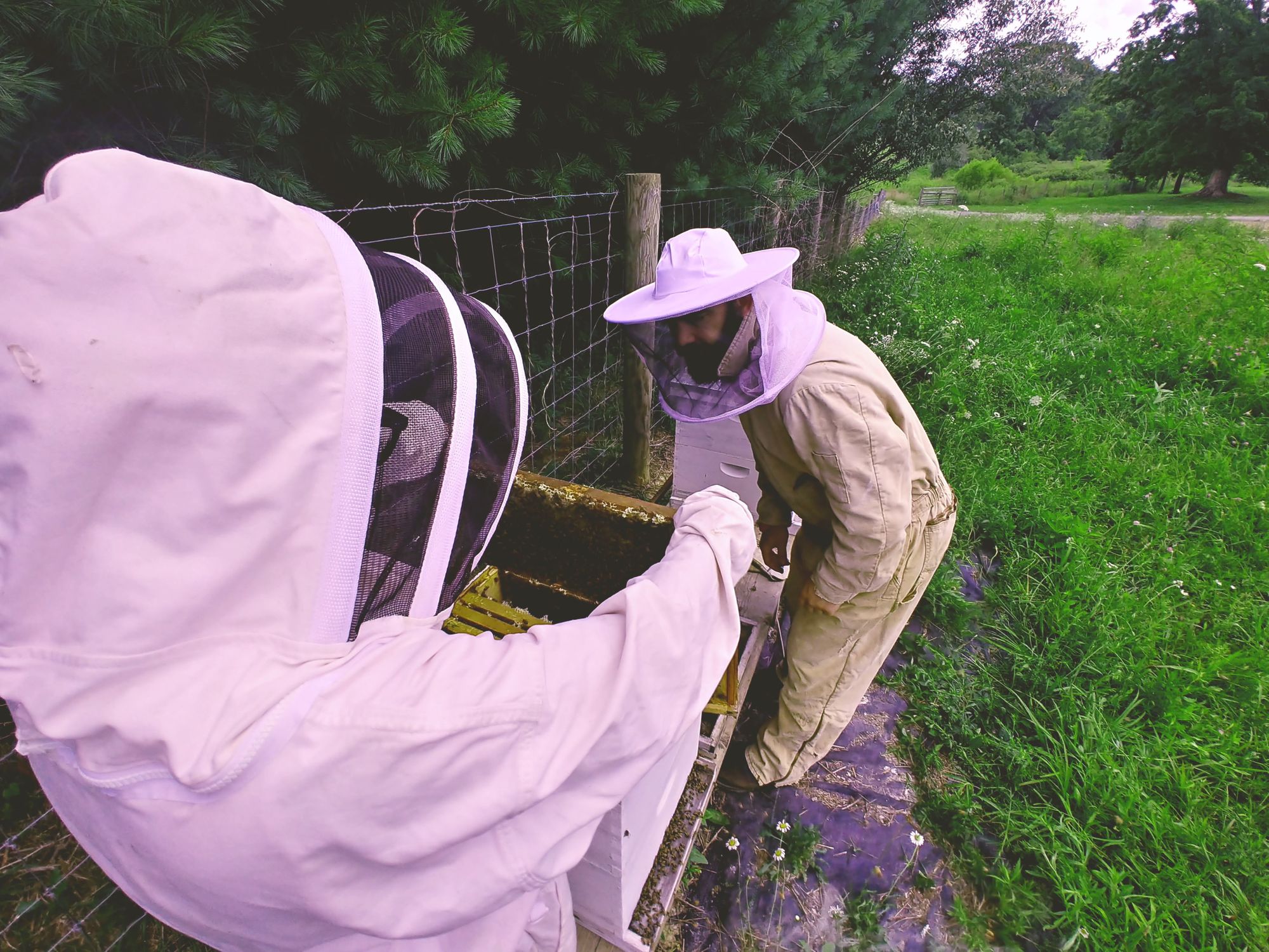 Kelly Ridge Farms - Meadowview, VA.